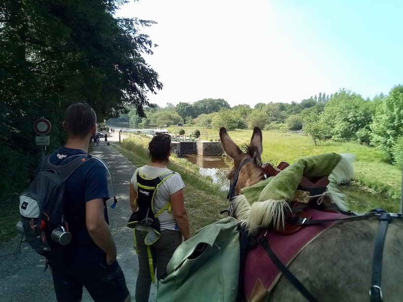 Ane...cdote au vert - LA box Loire-Atlantique